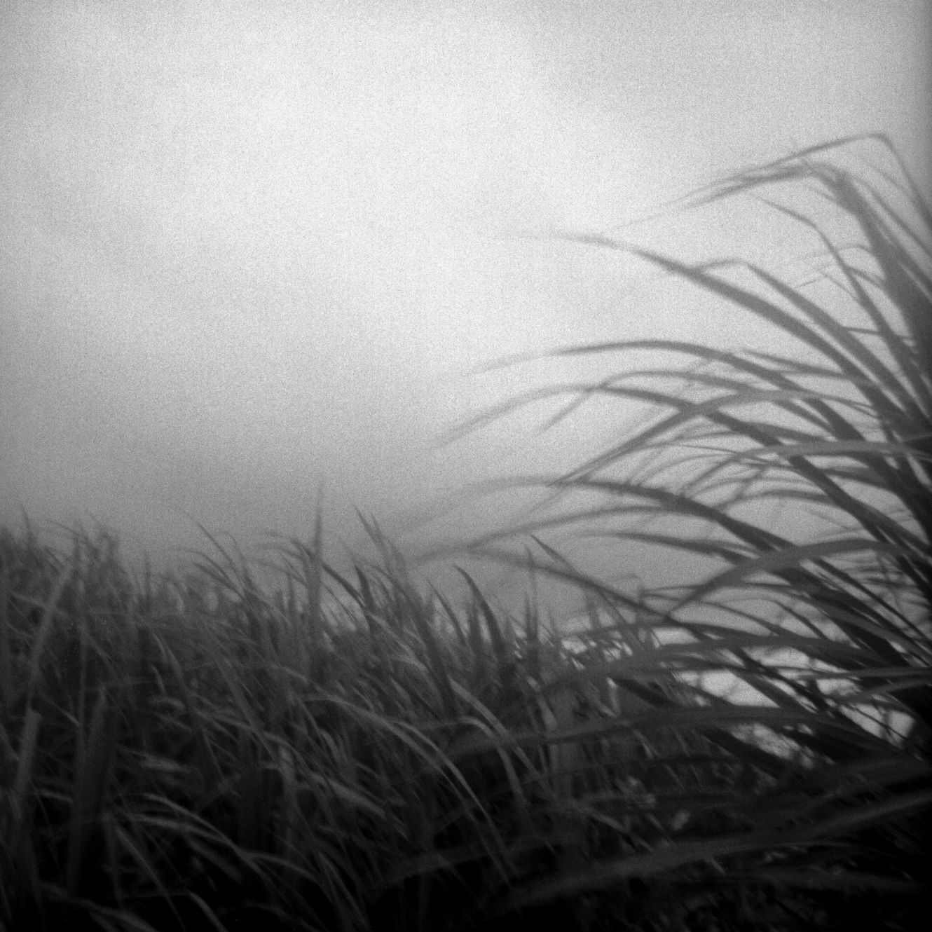 Frantz Fanon: Das lange Leben des Propheten der De­kolonisierung – Republik