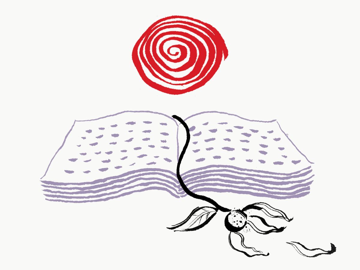 «Literatur im Klimanotstand», Folge 7: Klimaschutz ist Care-Arbeit ...